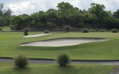 Golf Course Gallery | Public Golf Course Near Miami Beach, Hialeah ...
